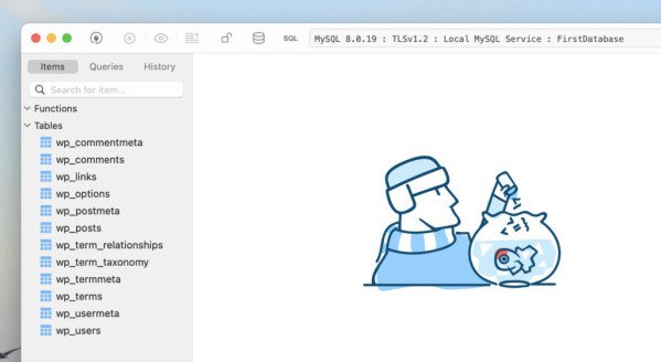 Set Up Dbngin Tableplus | RJS