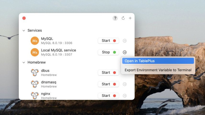 Set Up Dbngin Tableplus | RJS
